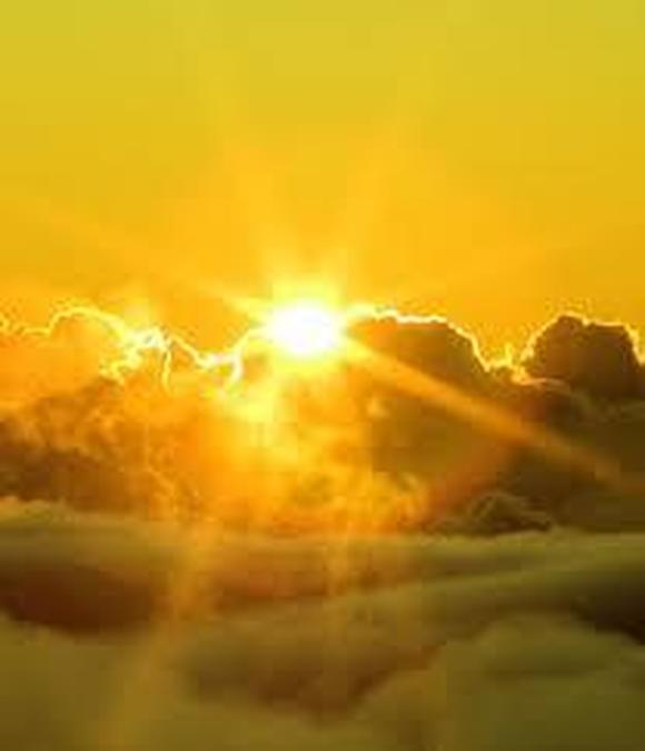 Frances Ward Obituary - SALUDA, VA | Faulkner Funeral Homes & Cremation ...